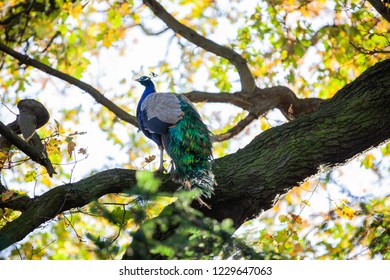 Stock Photo and Image Portfolio by Sheli Jensen | Shutterstock