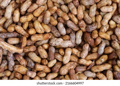 974 Peanut Shoots Images, Stock Photos & Vectors | Shutterstock