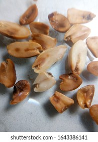 Peanuts Under Microscope Under Increase Spoiled Stock Photo 1643386141 ...
