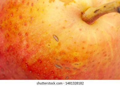 Pear Skin Surface Texture Pattern Close Stock Photo 1481328182 ...