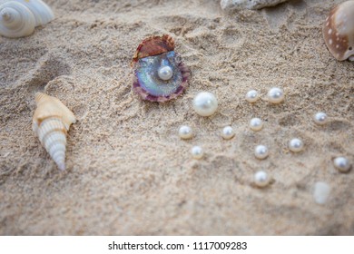 Pearl Embedded Shell Pearl Stock Photo 1117009283 | Shutterstock