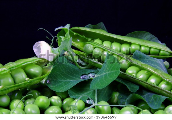 Peas Stock Photo 393646699 | Shutterstock