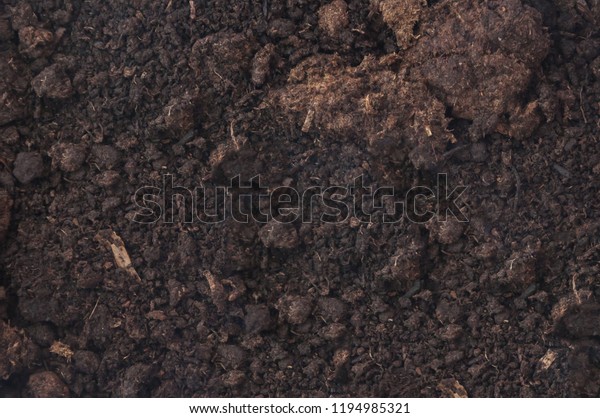 Peat Soil Background Texture Stock Photo 1194985321 | Shutterstock