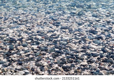 4,697 Thin water on rock Images, Stock Photos & Vectors | Shutterstock