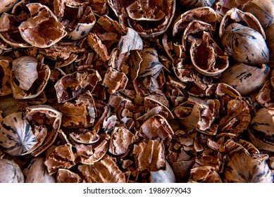 15,801 Pecan in shell Images, Stock Photos & Vectors | Shutterstock