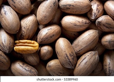 Pecan Nuts Out Shells Stock Photo 53389960 | Shutterstock
