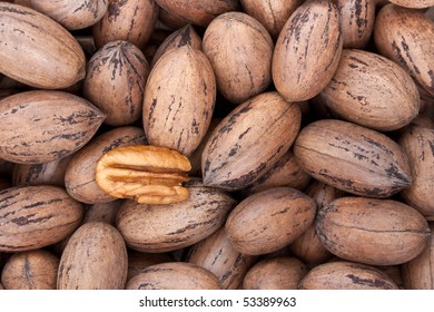 Pecan Nuts Out Shells Stock Photo 53389963 | Shutterstock