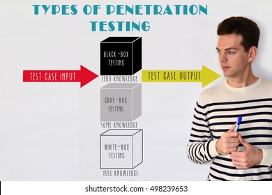 Penetration Testing Types White Box Gray Stock Photo 498239653 ...