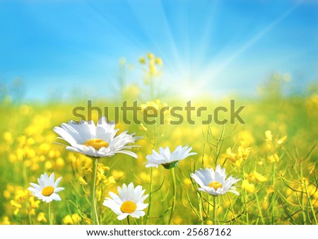 a Perfect Day Image - cg2p5687162s