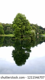 Perfect Tree Reflection Stock Photo 1211546707 | Shutterstock