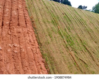 279 Turf sliding Images, Stock Photos & Vectors | Shutterstock