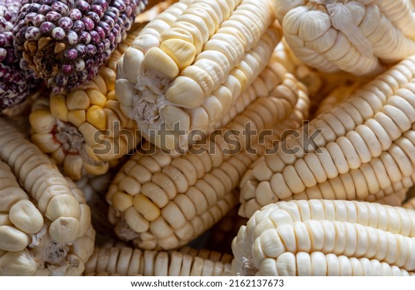Peruvian Corn Types Seen Cusco Central Stockfoto 2162137673 | Shutterstock