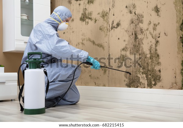 Pest Control Worker Uniform Spraying Pesticide Stock Photo (Edit Now ...