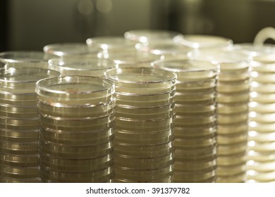 614 Petri dishes stacked Images, Stock Photos & Vectors | Shutterstock