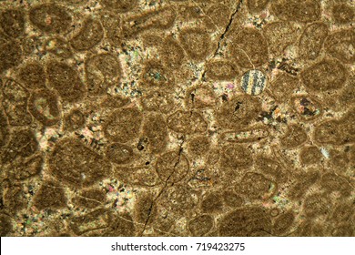 Petrographic Thin Section Under Microscope Polarized Stock Photo ...