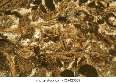 Petrographic Thin Section Under Microscope Polarized Stock Photo ...