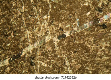 Petrographic Thin Section Under Microscope Polarized Stock Photo ...