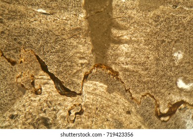 Stylolite Images, Stock Photos & Vectors | Shutterstock