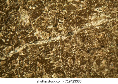 Petrographic Thin Section Under Microscope Polarized Stock Photo ...