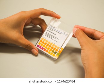 Ph Reading Using Ph Paper Stock Photo 1174623484 | Shutterstock