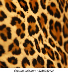 Photo Real Leopard Skin Pattern AI-generated image 2503002461 ...