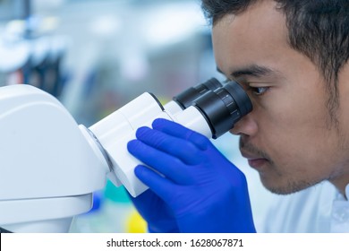 Picture Scientist Using Microscope Laboratory Concept Stock Photo ...