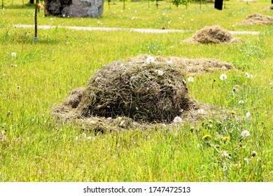 Pictured Small Haystack Closeup Stock Photo 1747472513 | Shutterstock