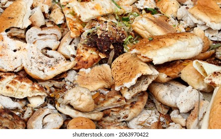 4,128 Homeless bread Images, Stock Photos & Vectors | Shutterstock