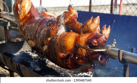 Pig Rolling On Skewer While Roasting Stock Photo 1390487540 | Shutterstock