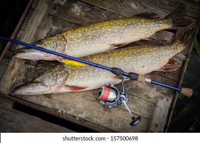33,112 Pike fishing Images, Stock Photos & Vectors | Shutterstock