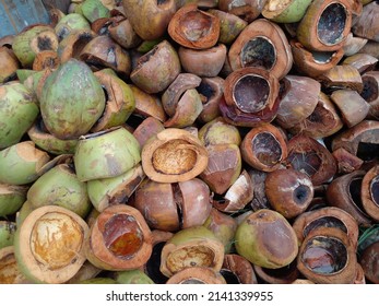 6,847 Split shell Images, Stock Photos & Vectors | Shutterstock