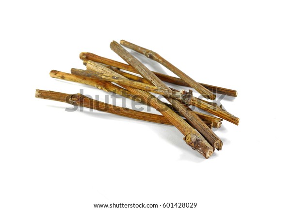Pile Dry Vine Tree Branches Isolated Stock Photo 601428029 | Shutterstock Pile Dry Vine Tree Branches Isolated Stock Photo 601428029 | Shutterstock