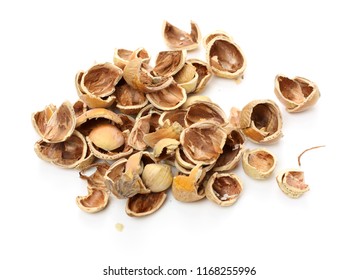16,889 Empty nuts Images, Stock Photos & Vectors | Shutterstock