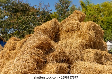 118,228 Straw Scene Images, Stock Photos & Vectors | Shutterstock