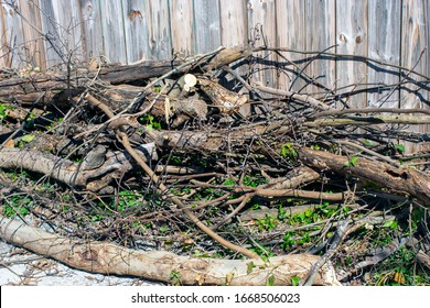 928 Tree limb fence Images, Stock Photos & Vectors | Shutterstock