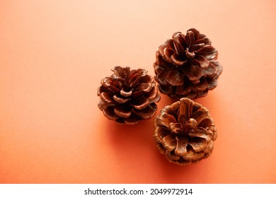 6,460 Pine Corne Images, Stock Photos & Vectors | Shutterstock