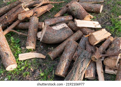 1,408 Scattered Logs Images, Stock Photos & Vectors | Shutterstock