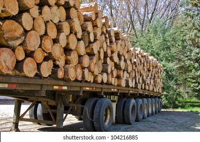 Pine Logs On Logging Flatbed Trailer Foto Stok 104216885 | Shutterstock