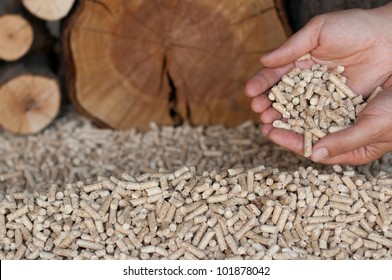 Pelett Images, Stock Photos & Vectors | Shutterstock