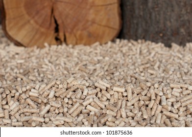 Pelett Images, Stock Photos & Vectors | Shutterstock