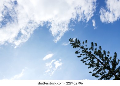 97,828 Sky bottom view Images, Stock Photos & Vectors | Shutterstock