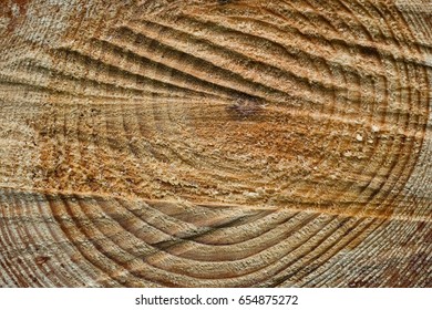 Pine Tree Cross Section Closeup Timber Stock Photo 654875272 | Shutterstock