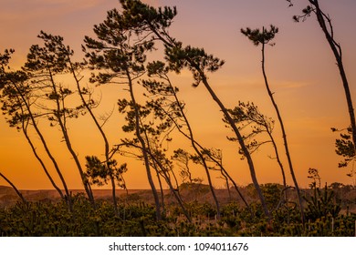 Stock Photo and Image Portfolio by Ko_Inada | Shutterstock