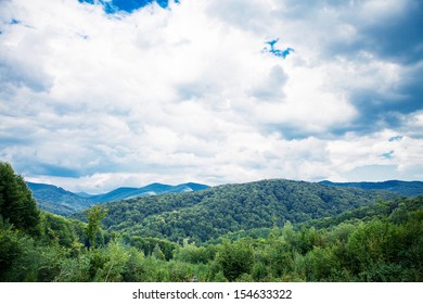 Forest skyline Images, Stock Photos & Vectors | Shutterstock