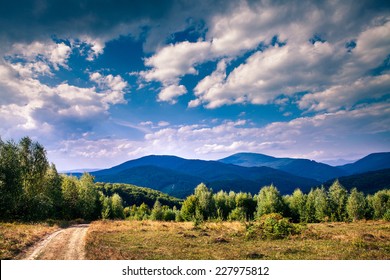 86,403 Pine tree horizon Images, Stock Photos & Vectors | Shutterstock