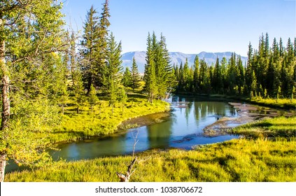 169,103 Pine trees river Images, Stock Photos & Vectors | Shutterstock
