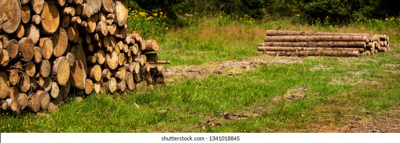320 imágenes de Overexploit - Imágenes, fotos y vectores de stock ...