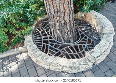 26,135 Tree pit Images, Stock Photos & Vectors | Shutterstock