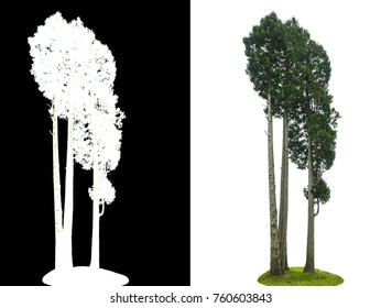 1,790 Pine tree alpha Images, Stock Photos & Vectors | Shutterstock