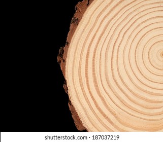 400 Cambium Ring Images, Stock Photos & Vectors | Shutterstock